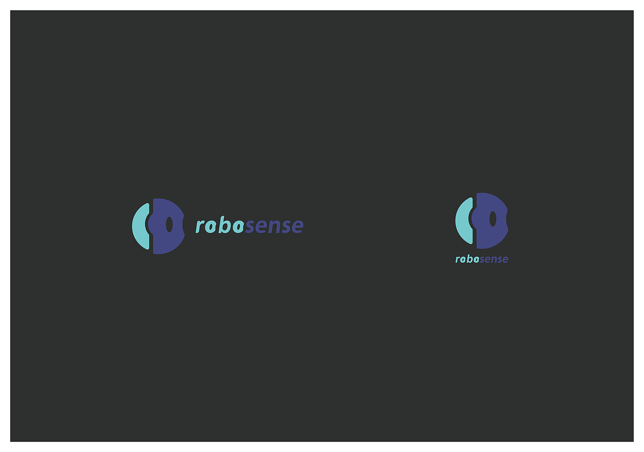 RoboSense品牌-vi视觉识别系统设计_田二TIANR-站酷ZCOOL