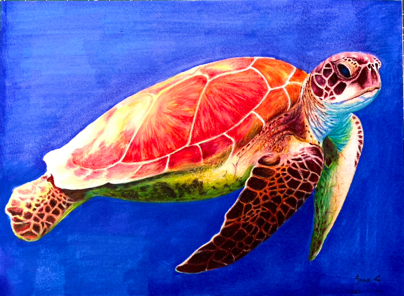 大海还能蔚蓝多久_Aron_C-站酷ZCOOL