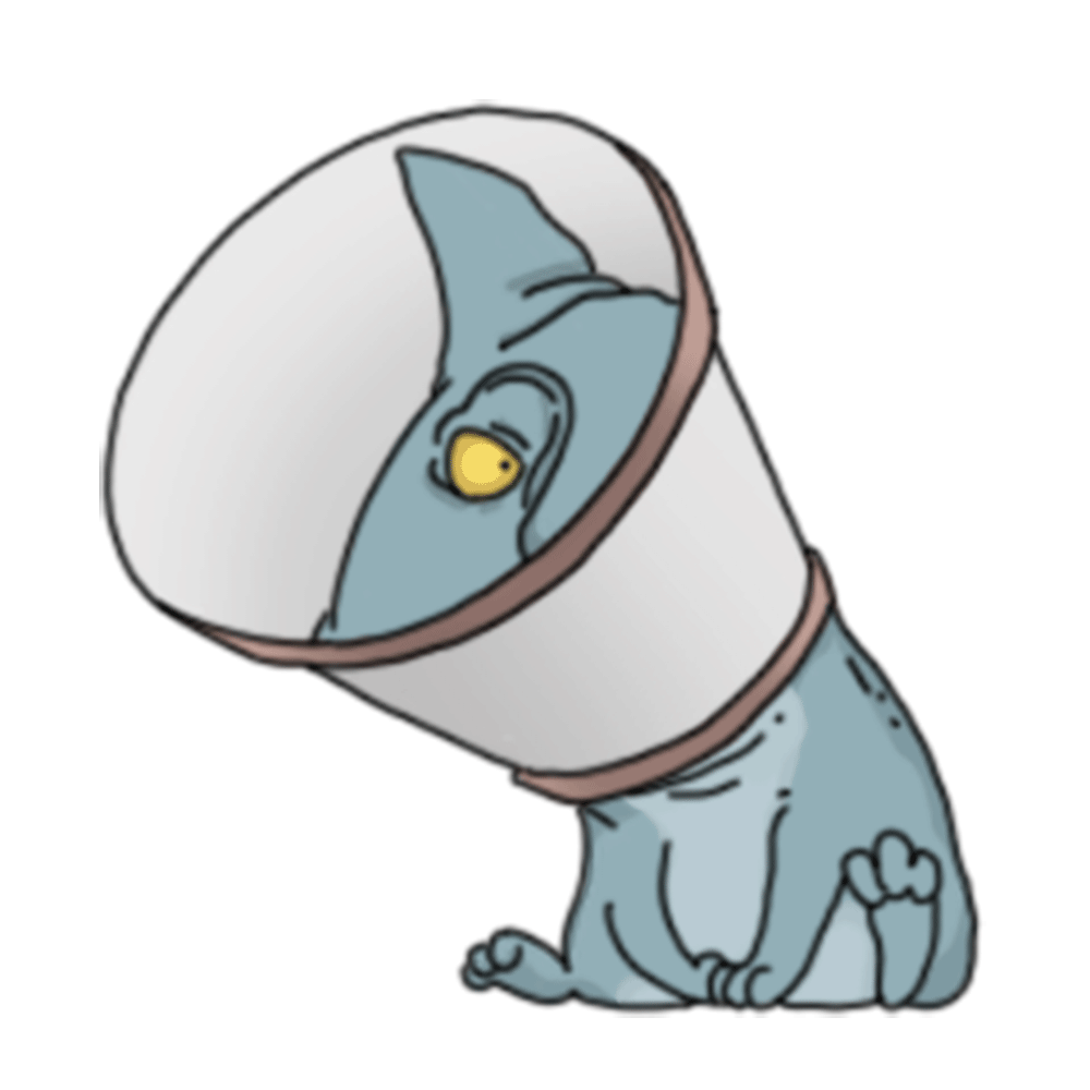 《Busy Cats》gif表情包制作_KeizooChen陈祺朝-站酷ZCOOL