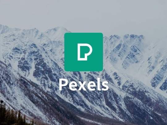 Pexels - 提供高清、有创意的免费商用图片、免费商用视频素材的网站_thosefree-站酷ZCOOL