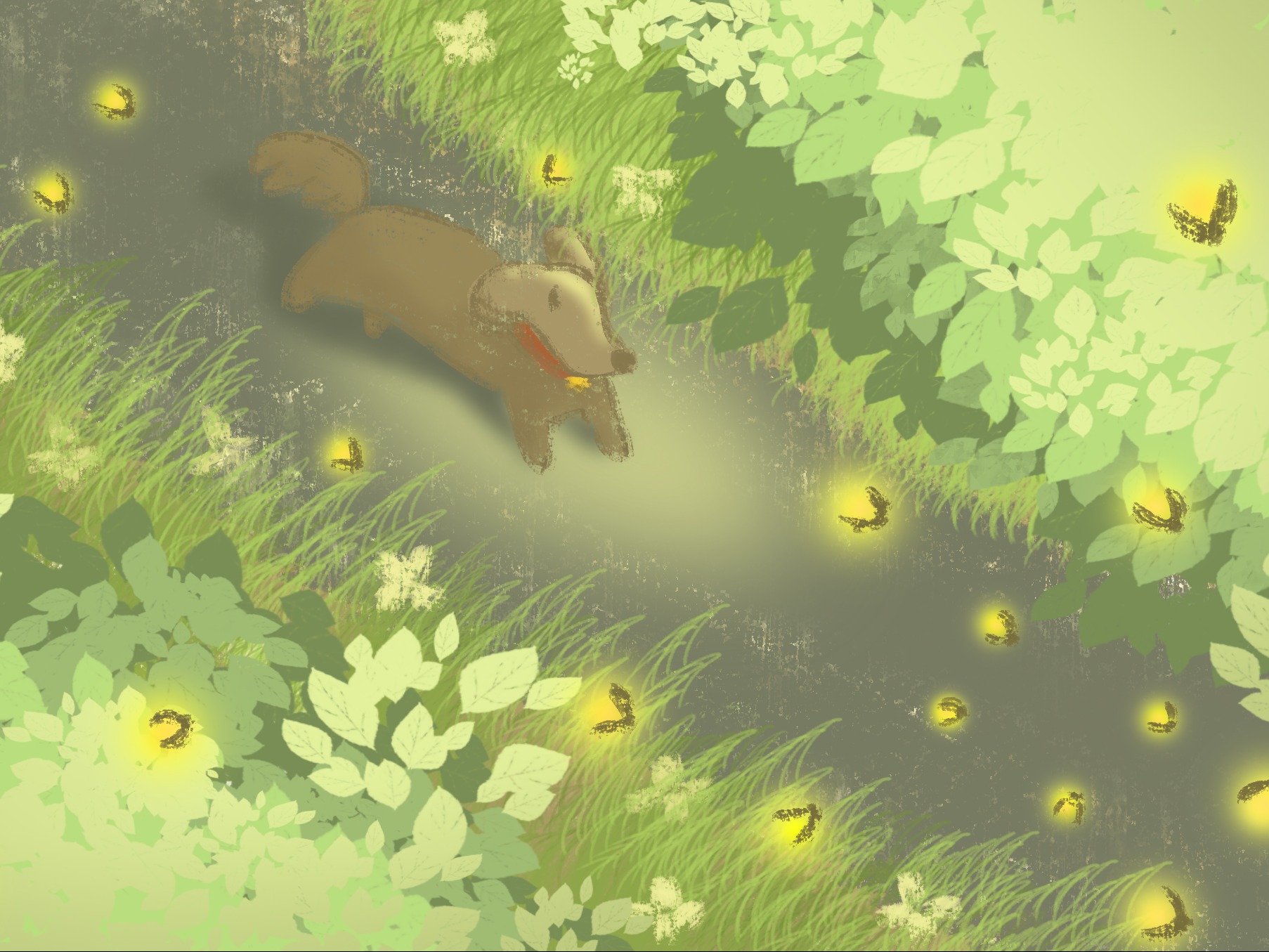 追逐萤火虫_阿33Asan-站酷ZCOOL