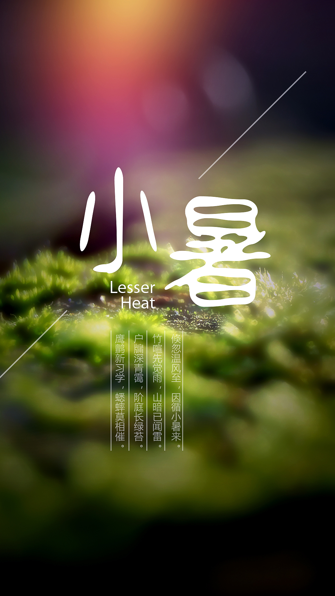 小暑——Lesser Heat_tdzy-站酷ZCOOL