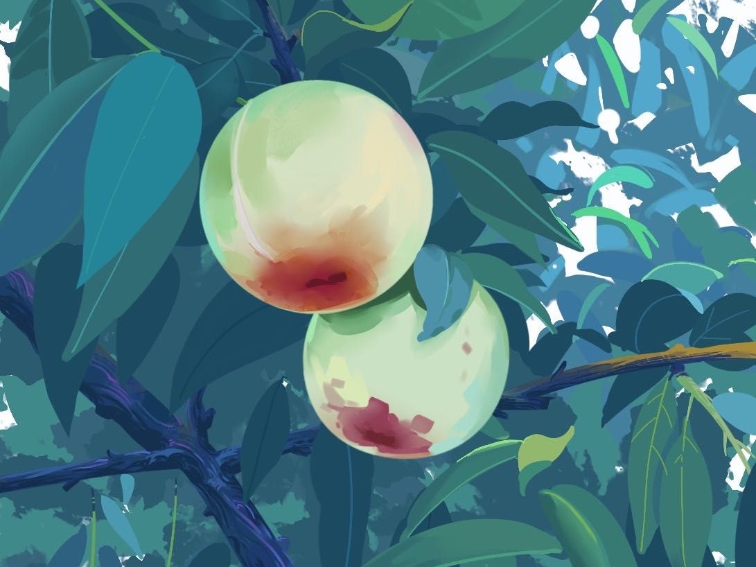 桃子_Changxia鸣鸣-站酷ZCOOL