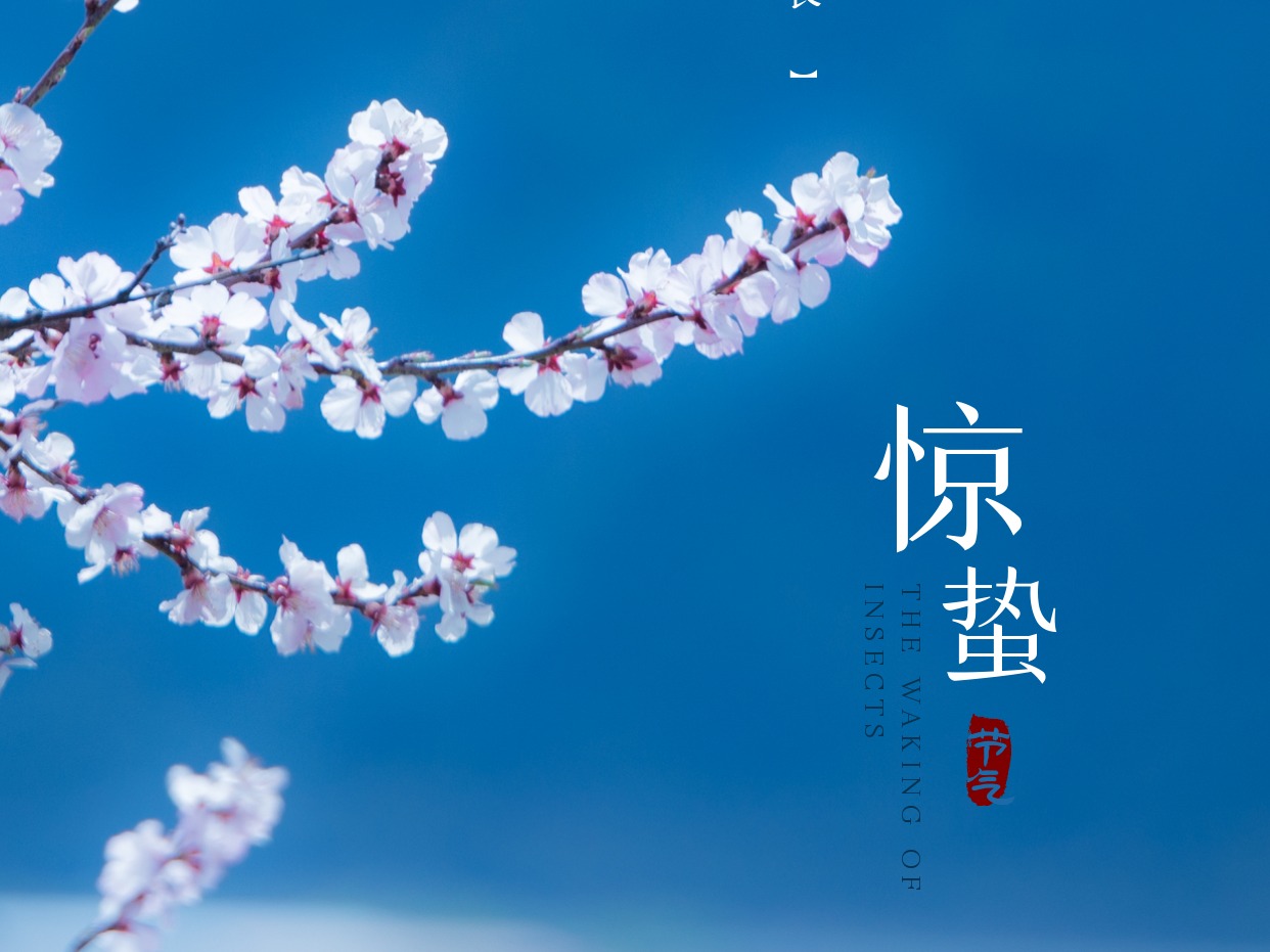 2022年公司企业品牌宣传营销借势节气手机朋友圈海报_长夏127-站酷ZCOOL