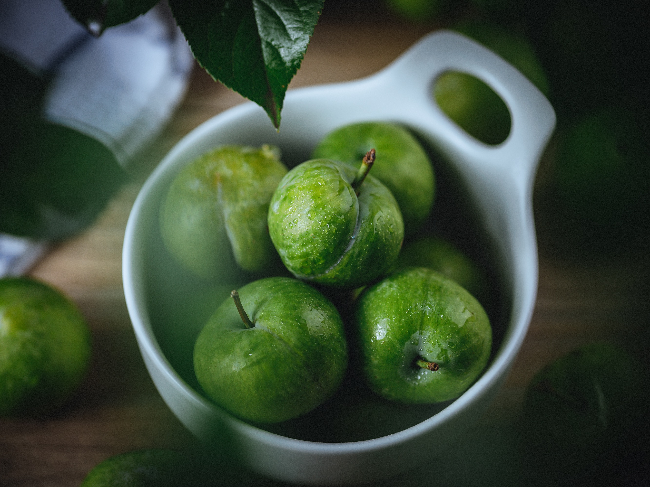 青梅_攝影師Leslie-站酷ZCOOL