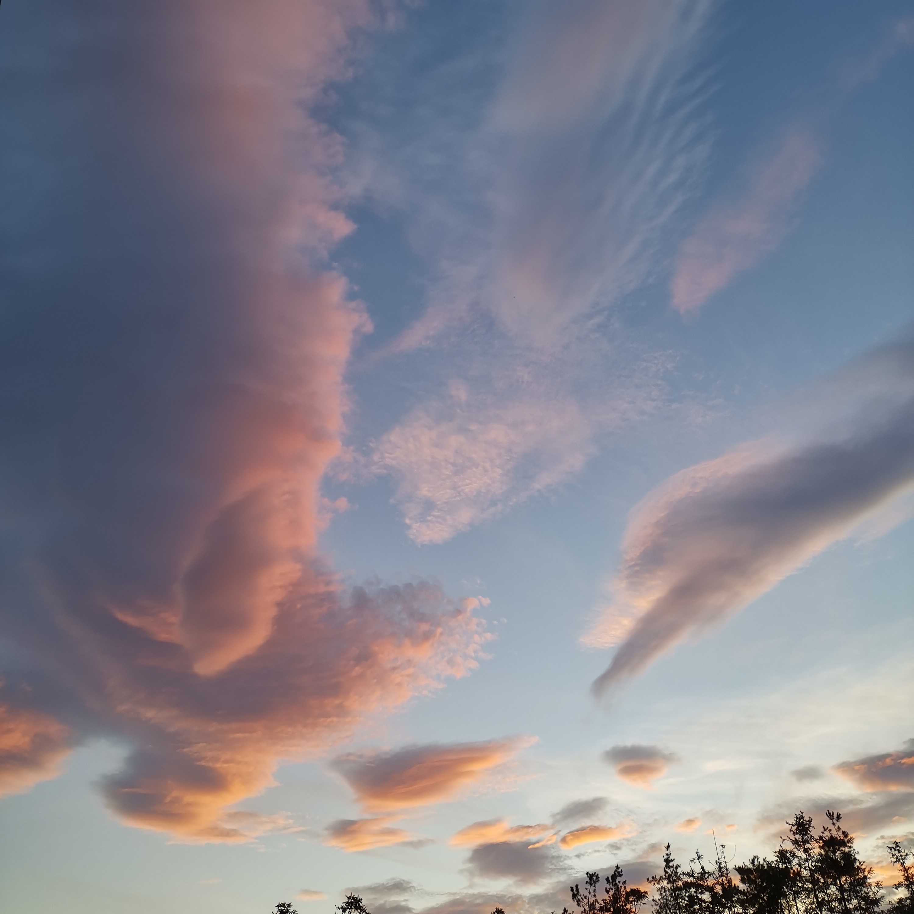 YN晰个人主页_萍乡学生-站酷ZCOOL