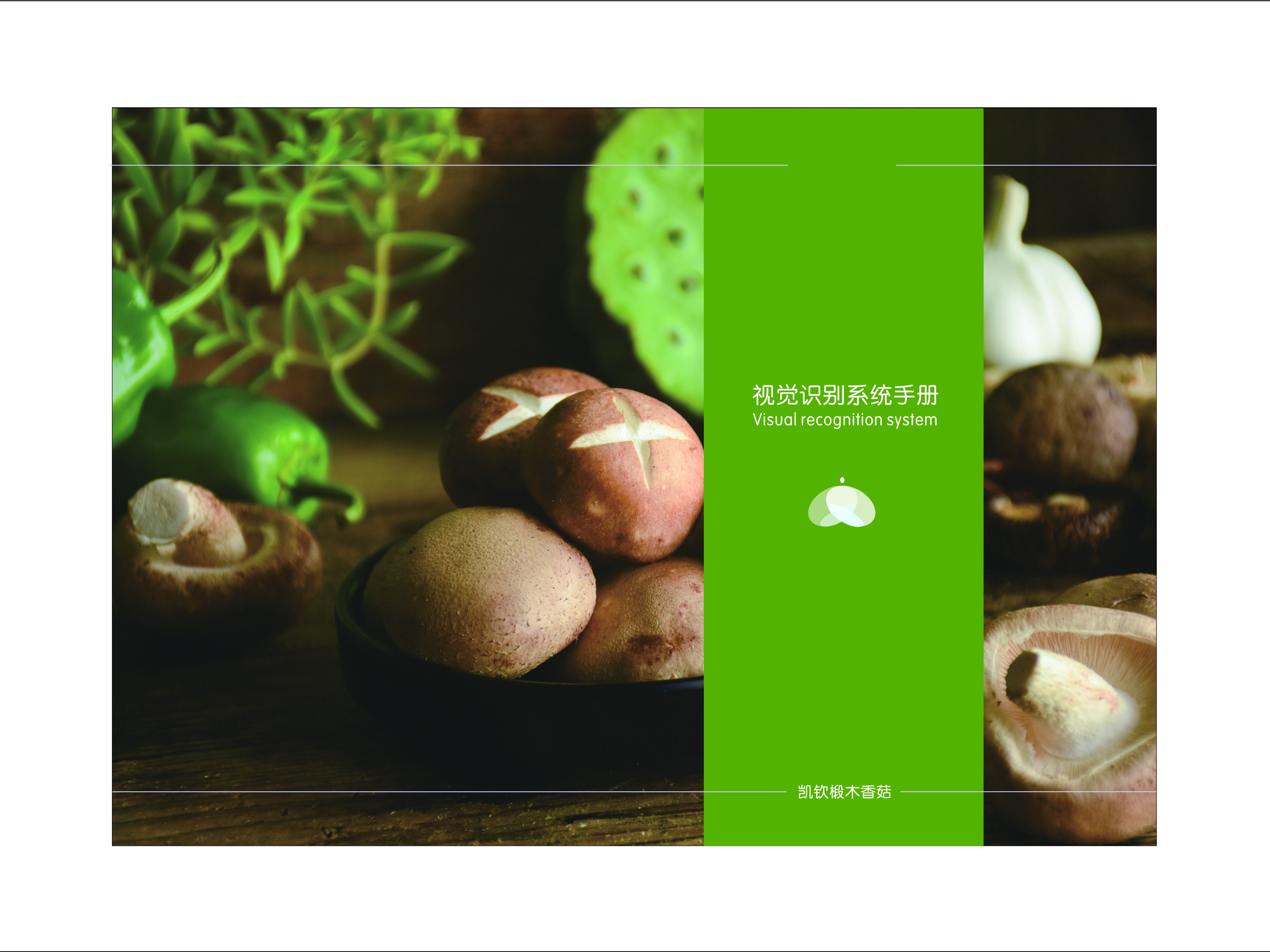 凯钦椴木香菇VI_马岛戴胜-站酷ZCOOL