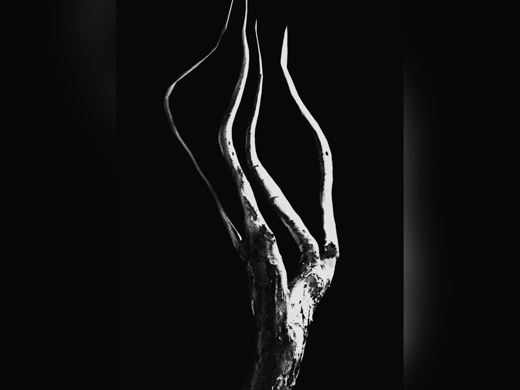 向生_Echo红日-站酷ZCOOL