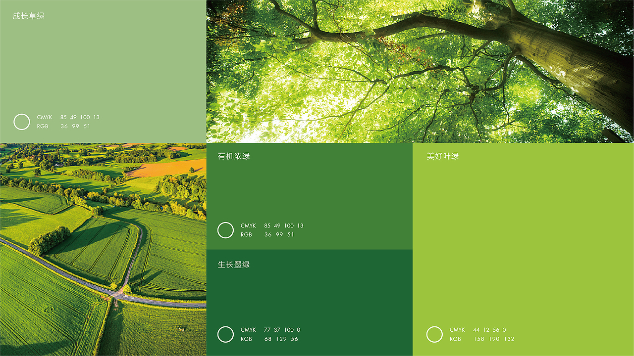 农产品品牌全案VI包装_YAFI扬飞-站酷ZCOOL