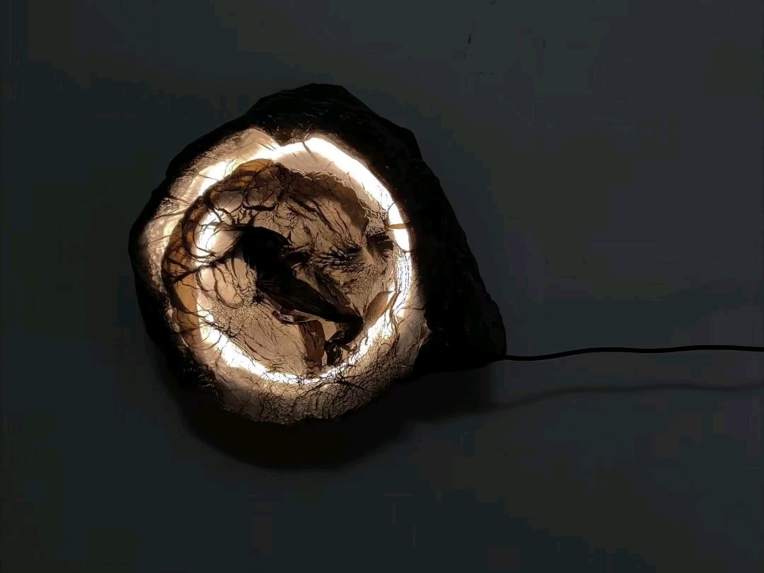 环保装置艺术_永远都是小学生-站酷ZCOOL