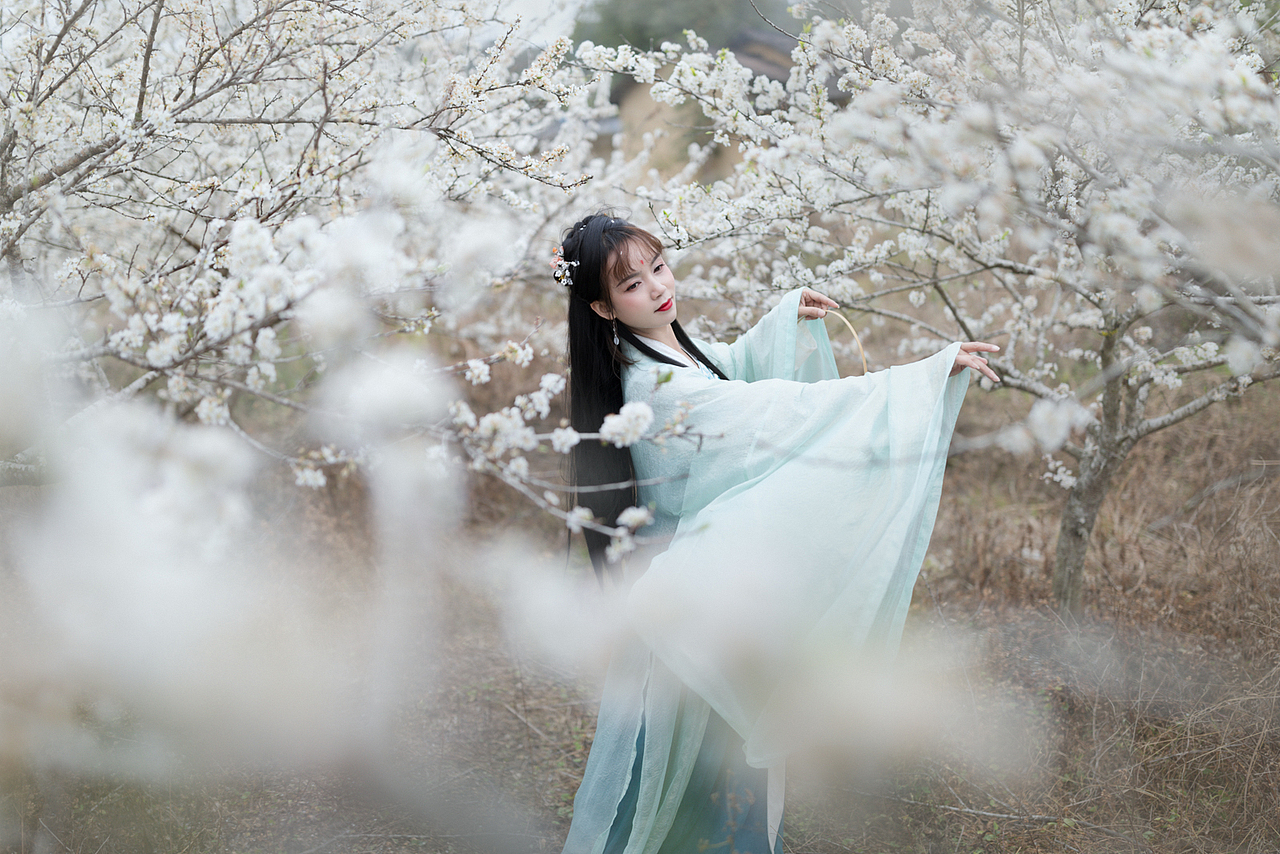 李花_青_Mu-站酷ZCOOL