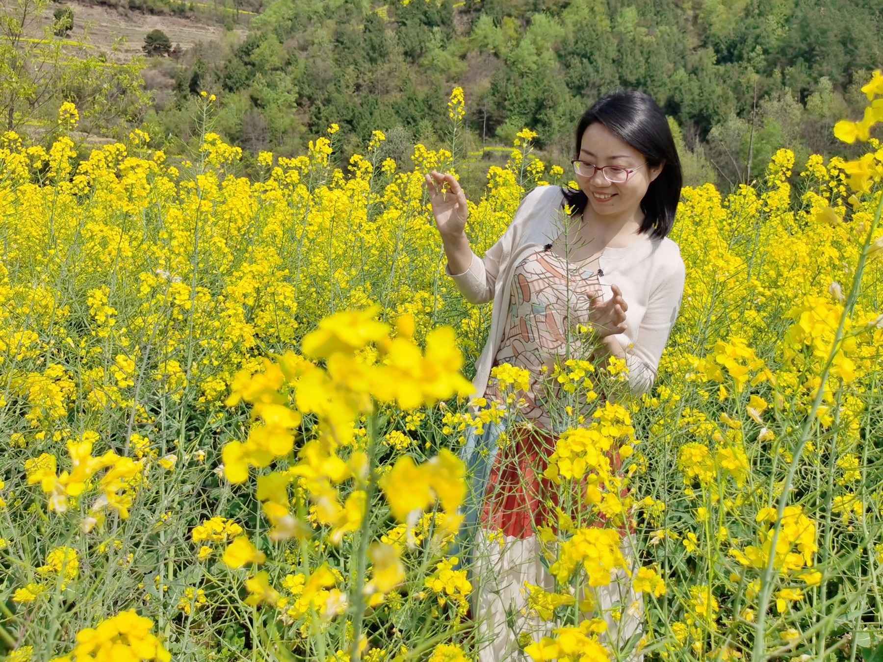 油菜花儿开_静远a-站酷ZCOOL