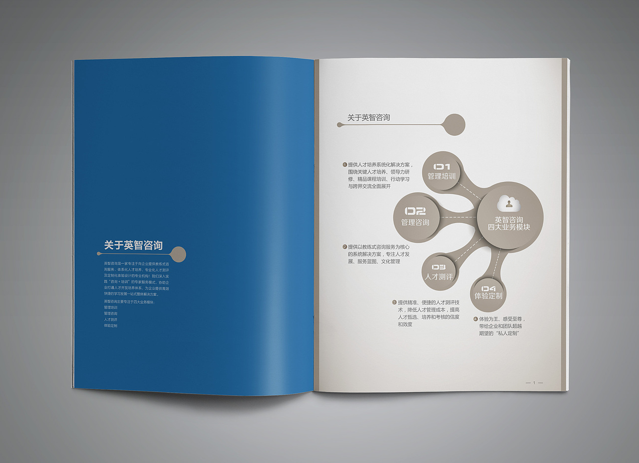 咨询公司产品手册设计_521汪落-站酷ZCOOL