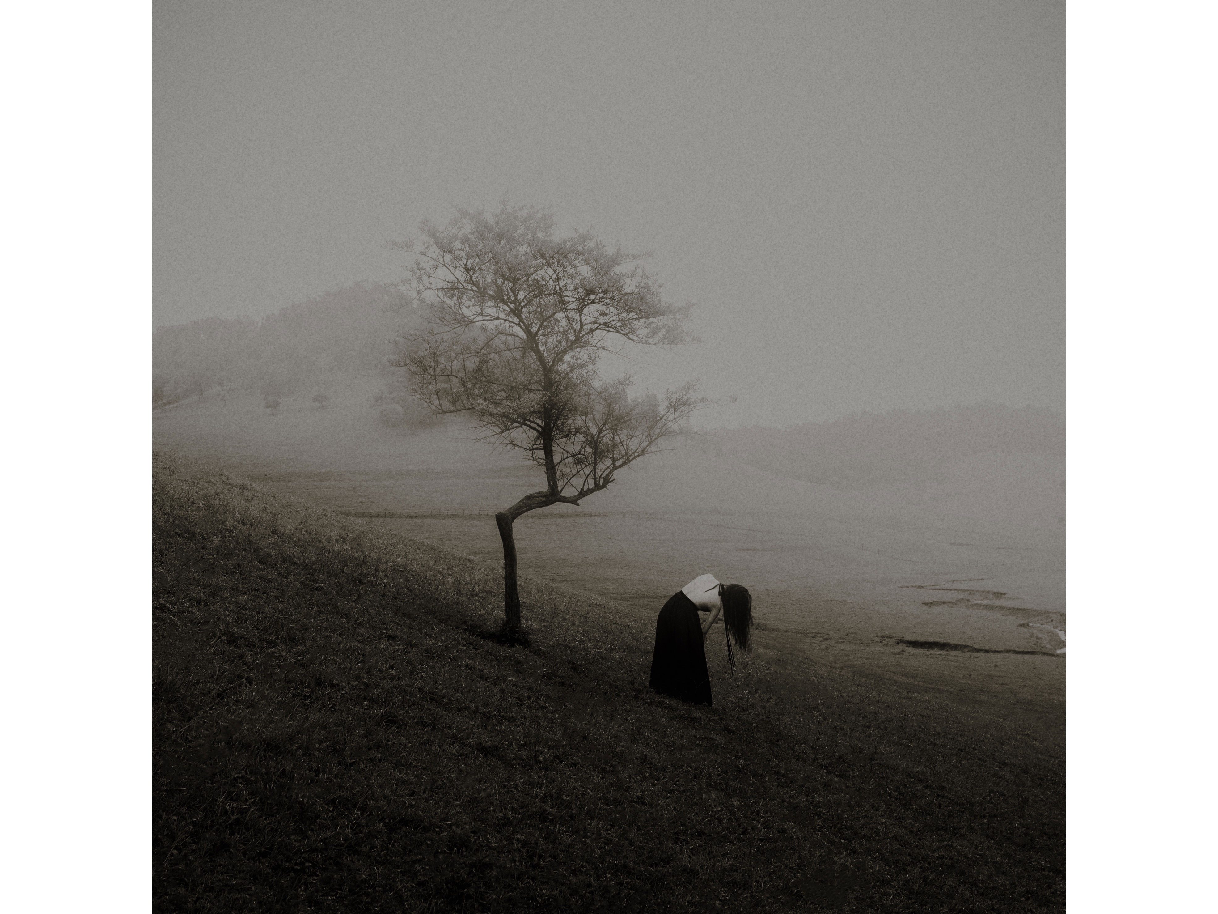 Misty_ien姥姥-站酷ZCOOL