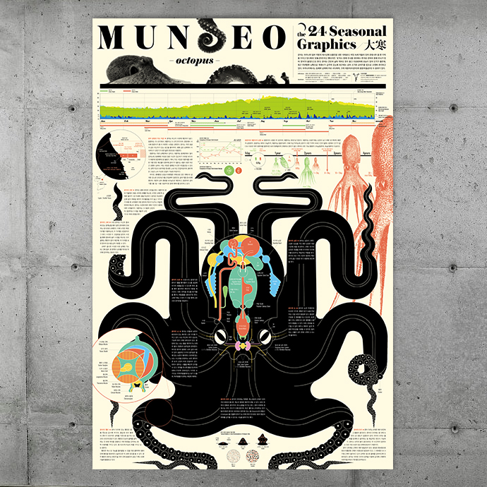 24 Seasonal Graphics : MUN-EO(octopus) / 章鱼_cinhaus-站酷ZCOOL