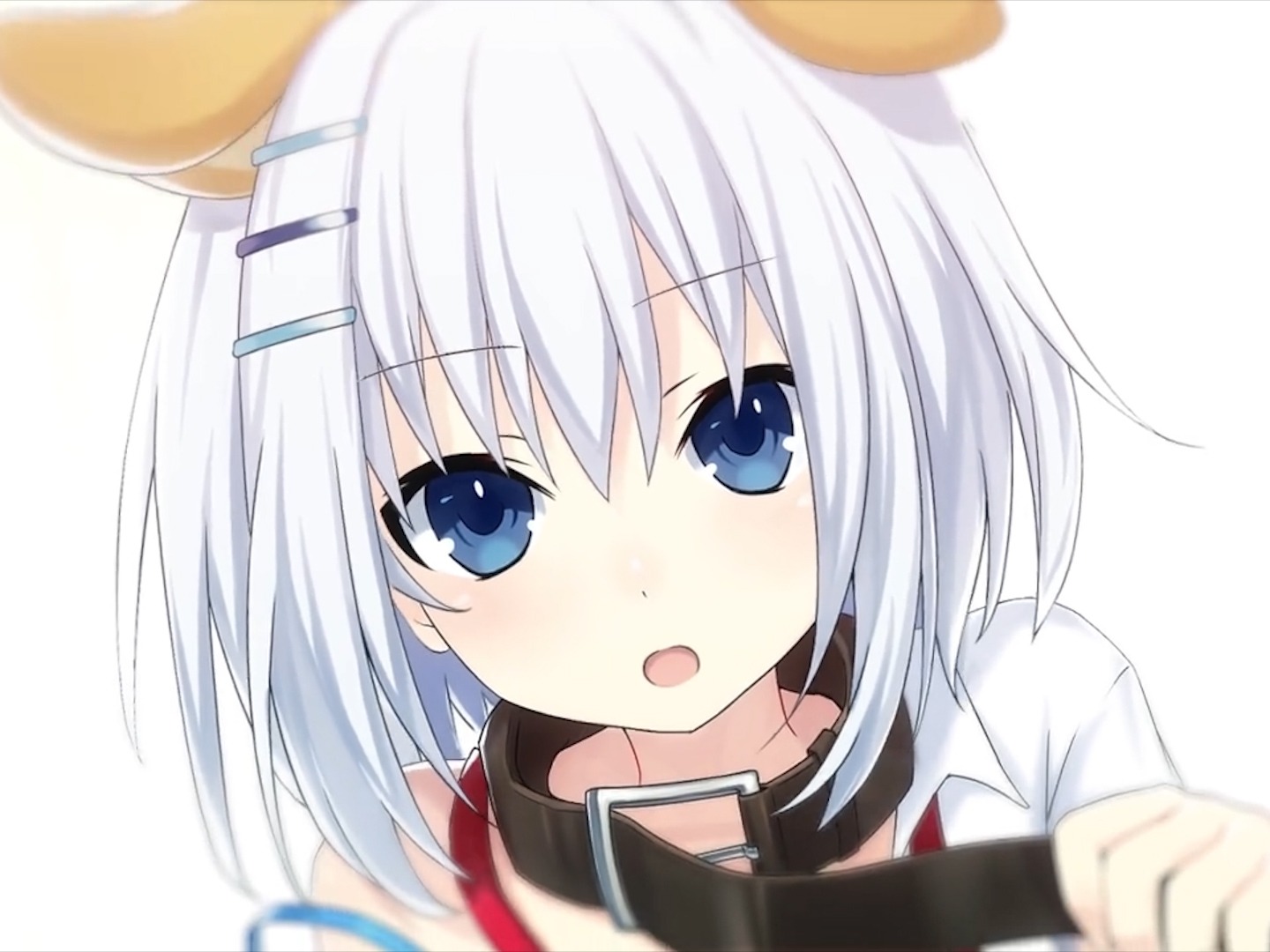 《约战：精灵再临》-苹果推送视频_Kone喵-站酷ZCOOL