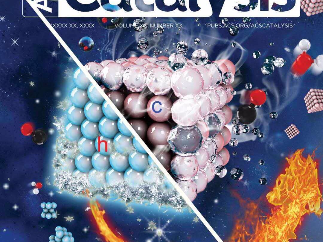 ACS Catalysis-期刊封面-催化化学_A伦设计-站酷ZCOOL