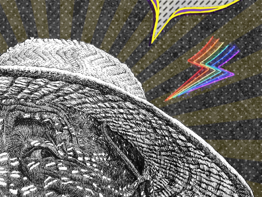 《Ok, Have fun.》_lp1983face-站酷ZCOOL