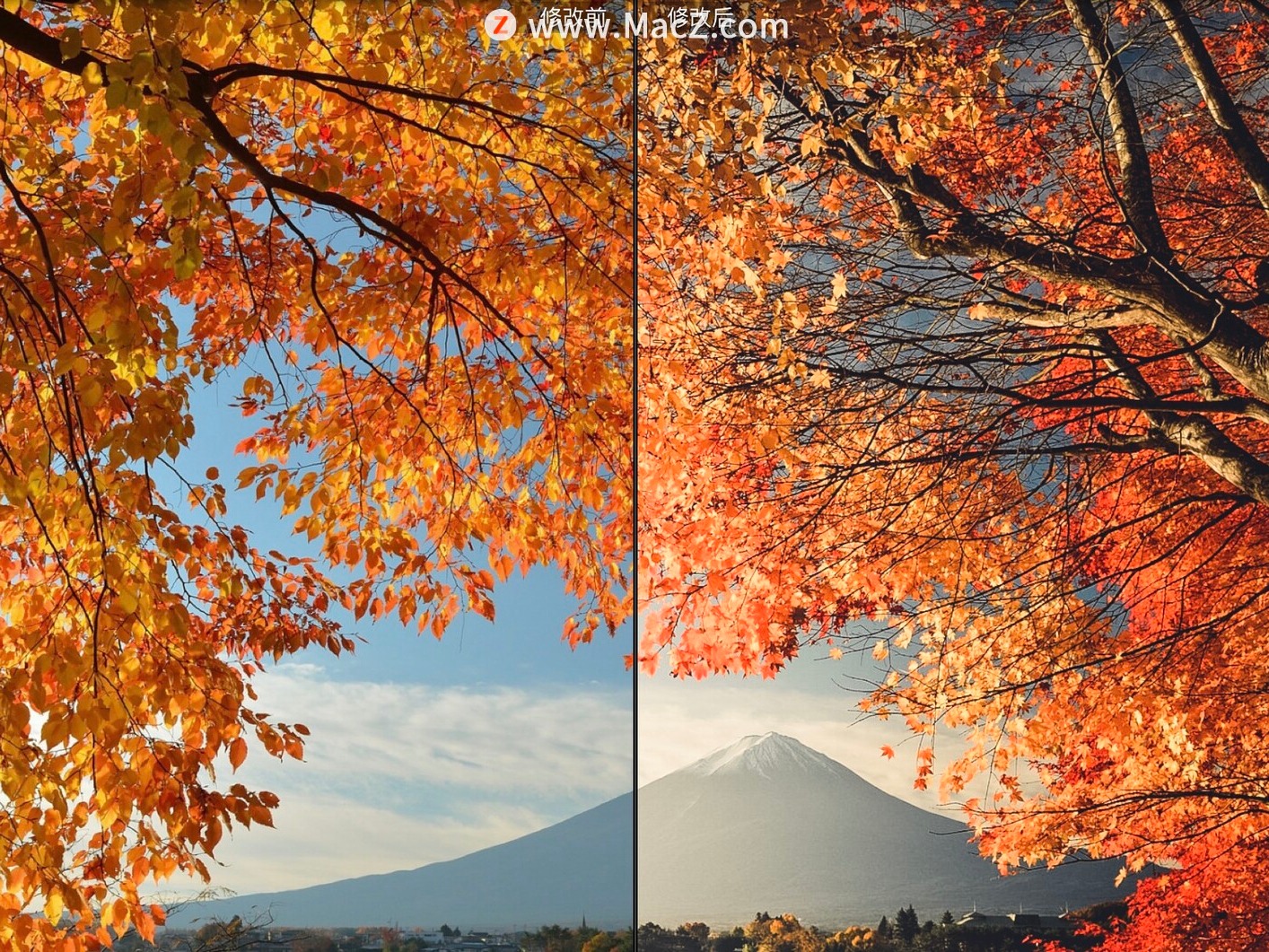 唯美秋季温暖调色LR预设_mac开心-站酷ZCOOL