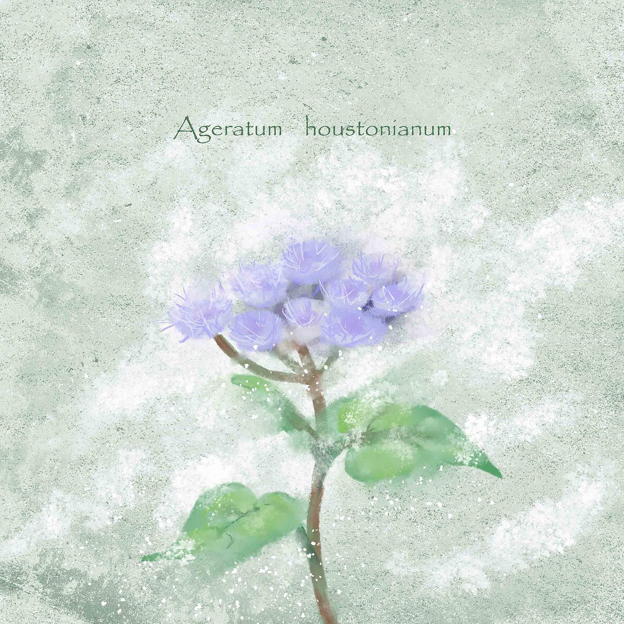 一日一花_kaki柿子酱-站酷ZCOOL