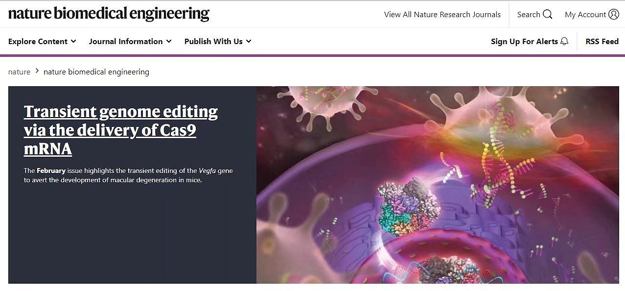 nature biomedical engineering期刊封面图_scihua-站酷ZCOOL