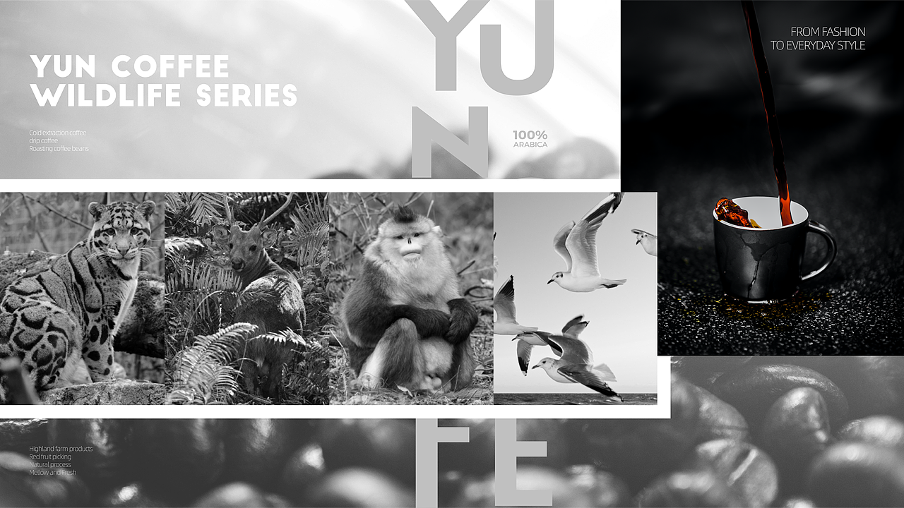 YUN coffee 云南栖息地动物系列咖啡包装全案_7N云迹南寻-站酷ZCOOL