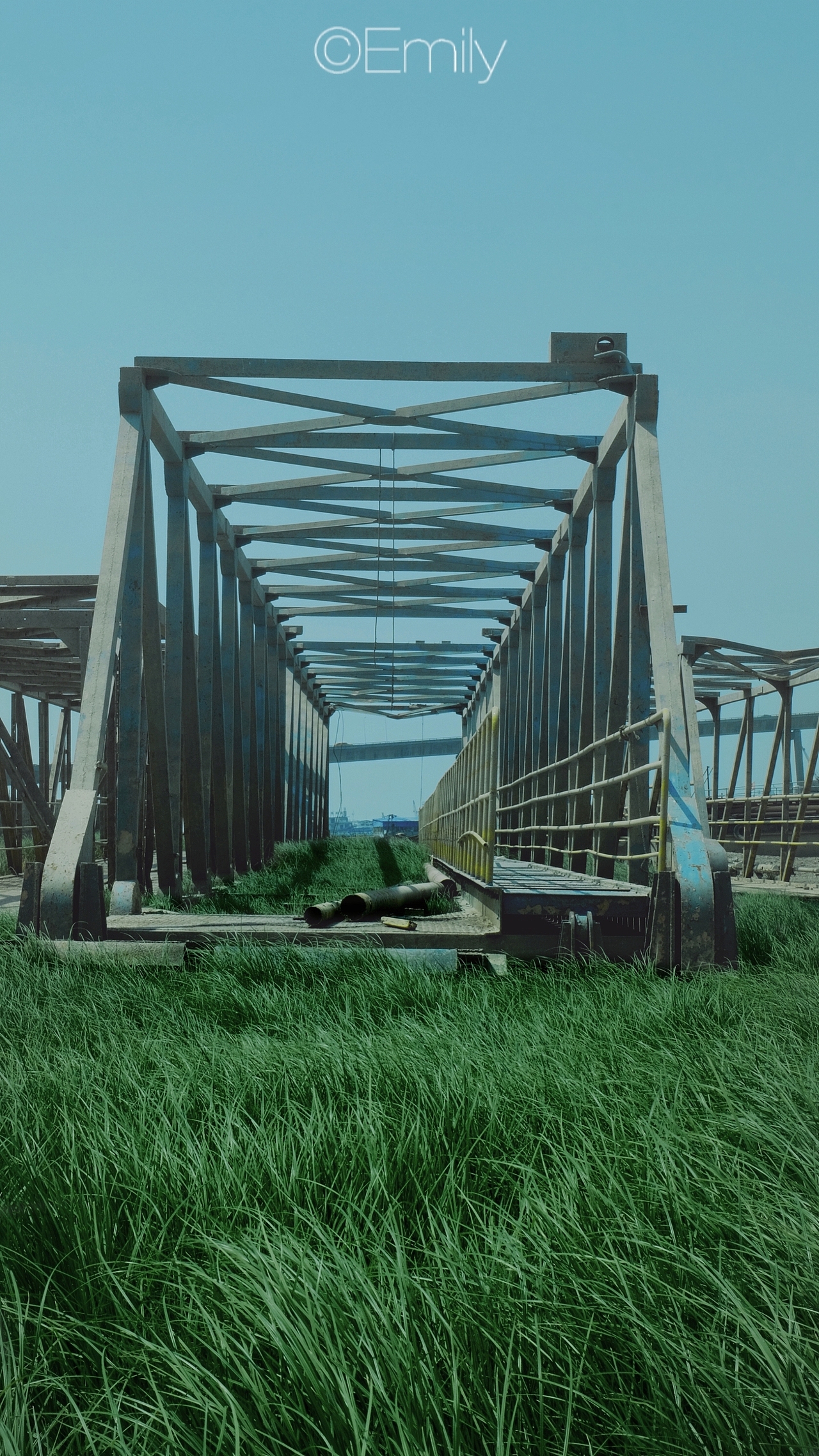 洞庭湖大桥周边_罗连若Emily-站酷ZCOOL