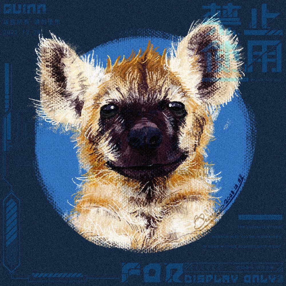 插画风宠物头像_Quinn_奎影-站酷ZCOOL