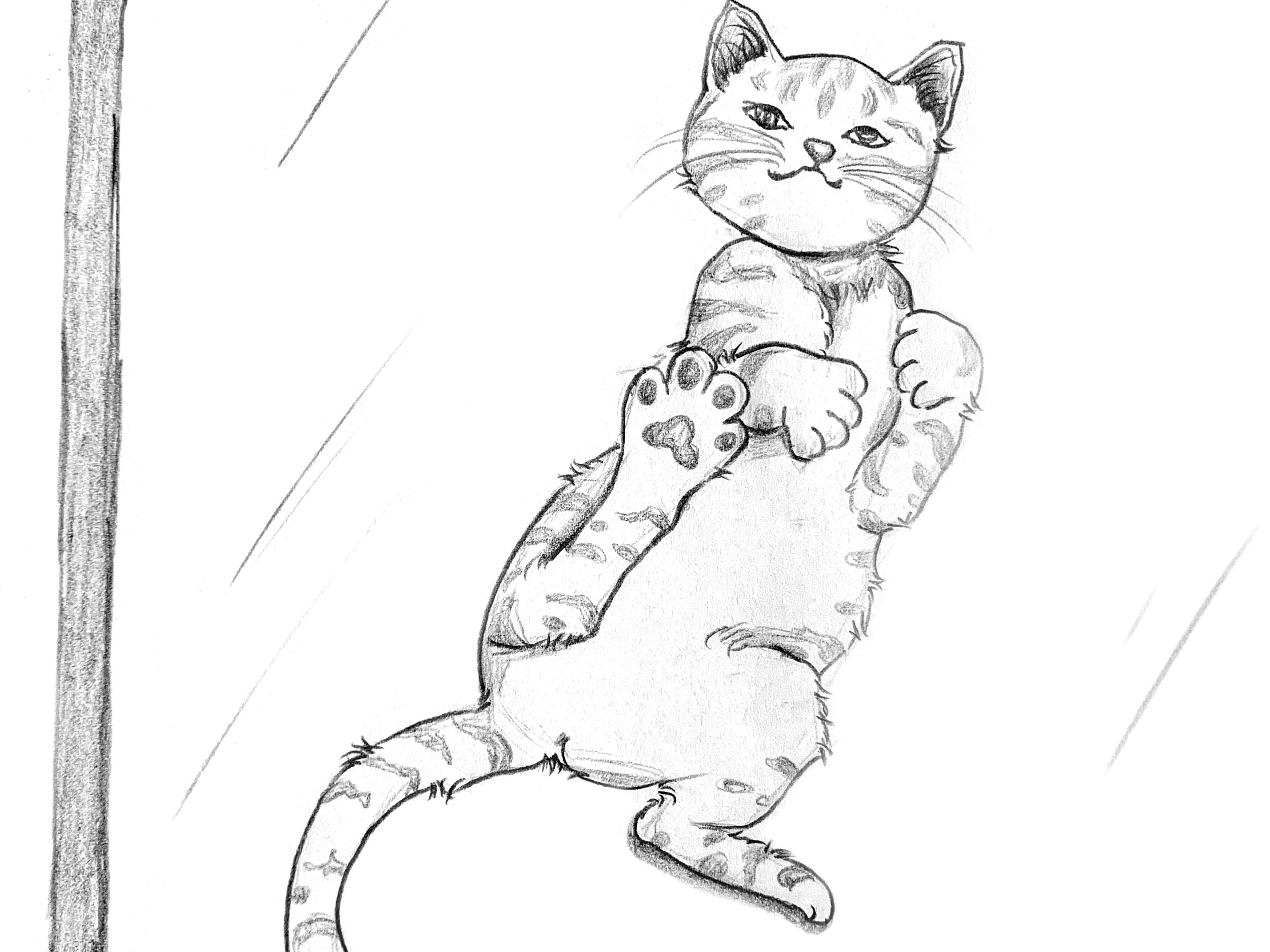 被“封印”之逃跑计划_猫_MAO-站酷ZCOOL