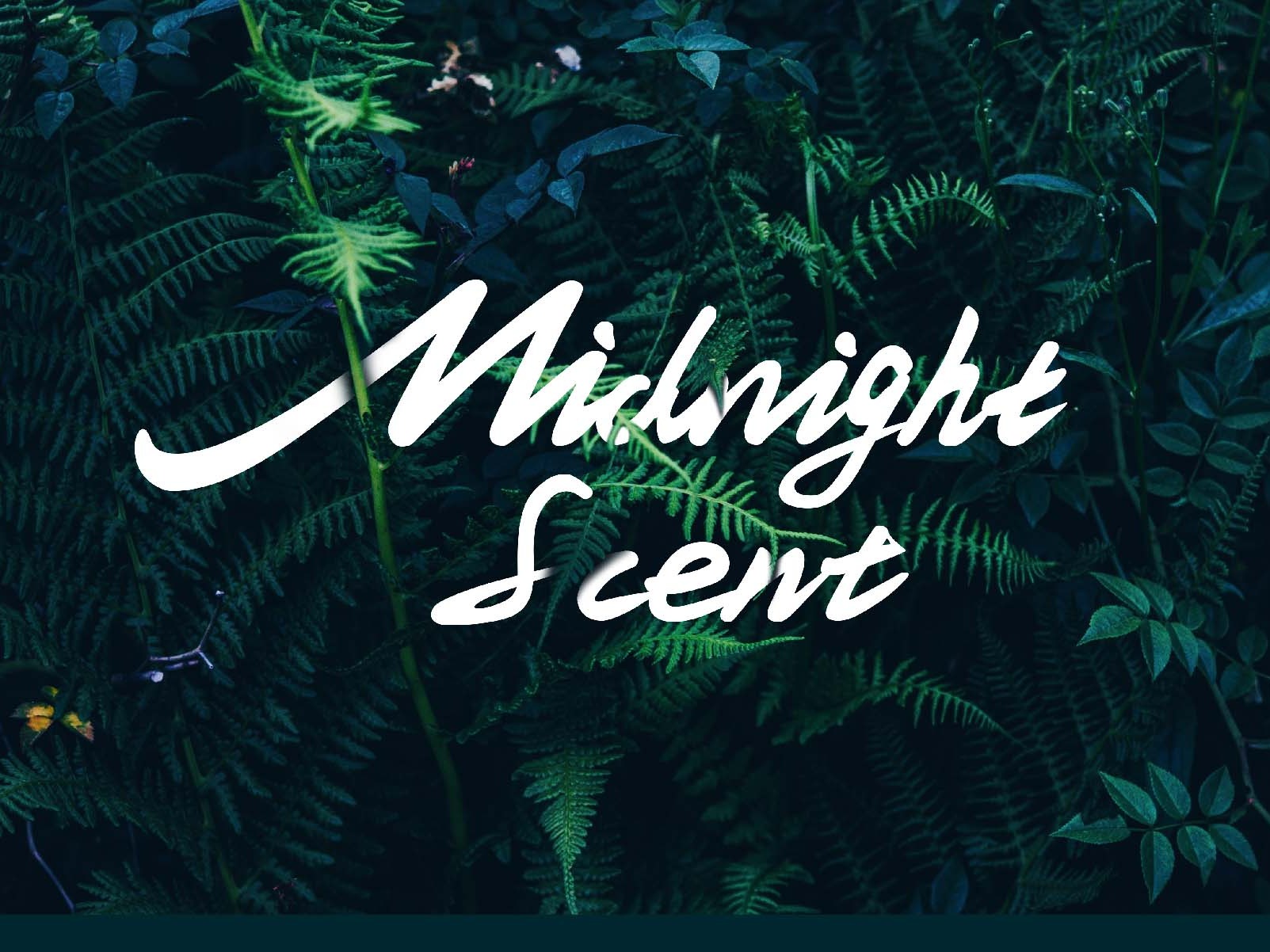 midnight scent_Mainspring-站酷ZCOOL