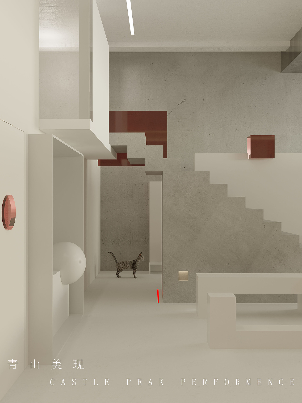 Cat Shop · 一家独特宠物店|空间|家装设计|青山美现_原创作品-站酷ZCOOL