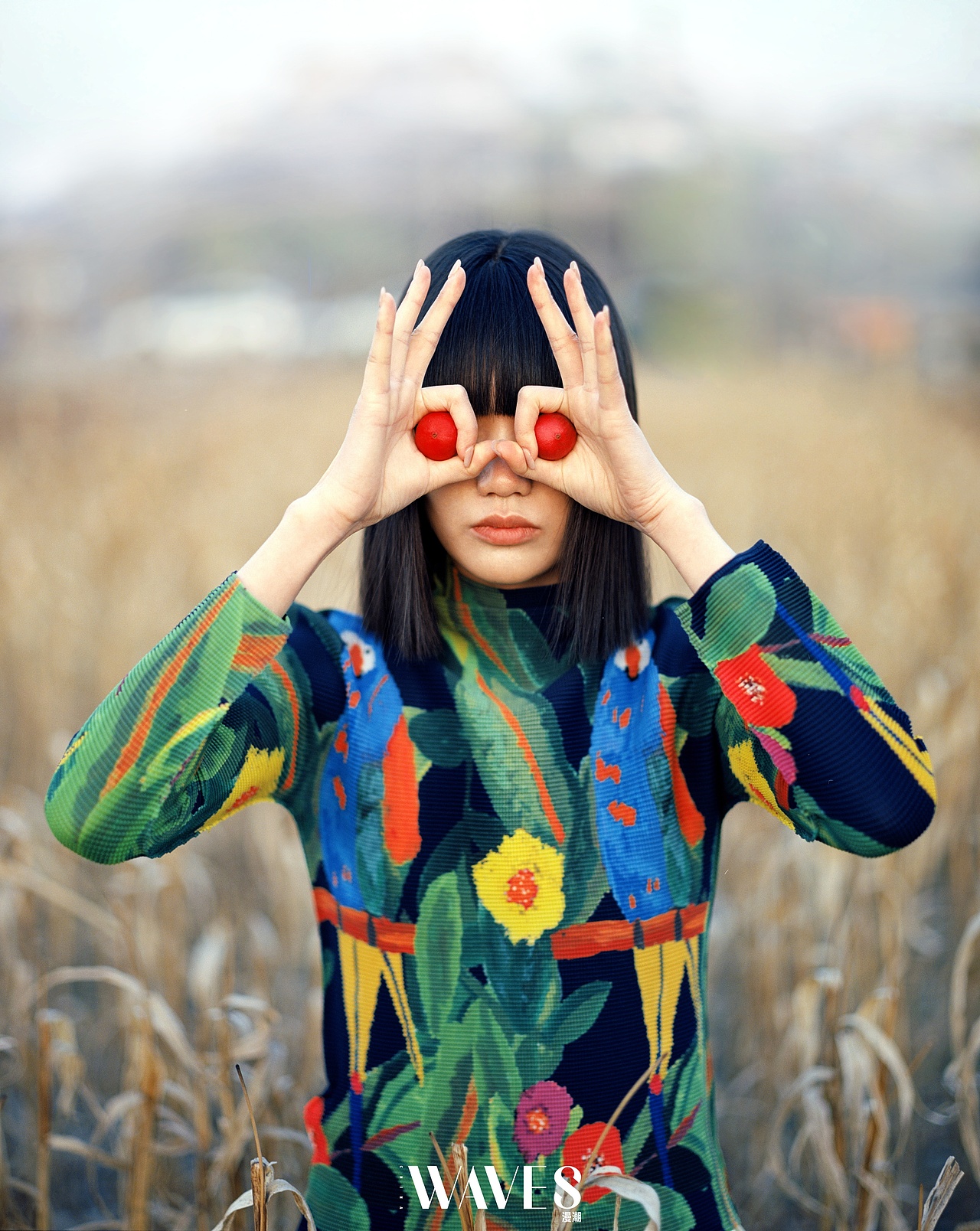 《沃野之风》_Bailly-站酷ZCOOL