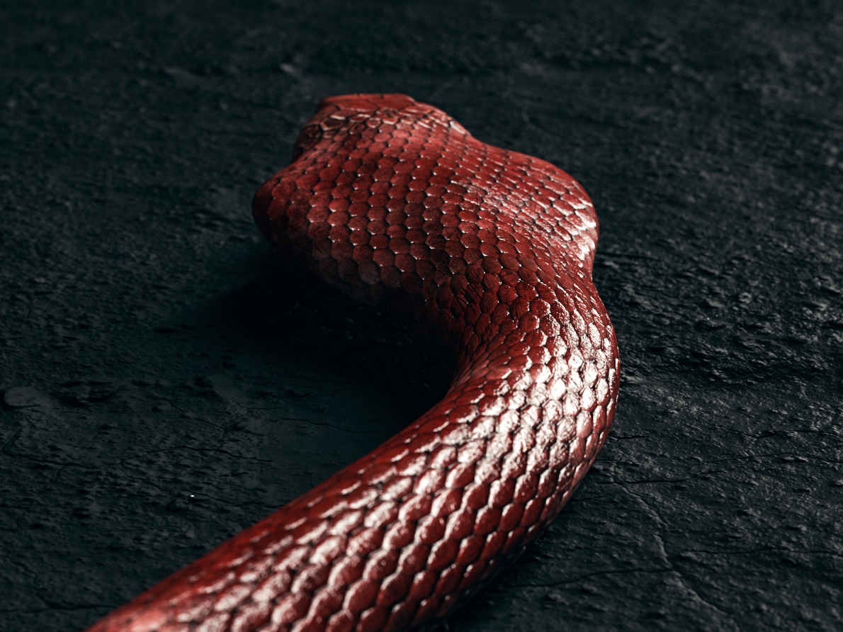 COUPLE HUNNID 品牌发布会 BOS$谢帝 _拾丶柒Aio-站酷ZCOOL