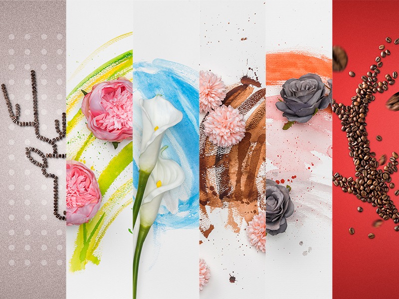 Decorative painting *_Ke666-站酷ZCOOL