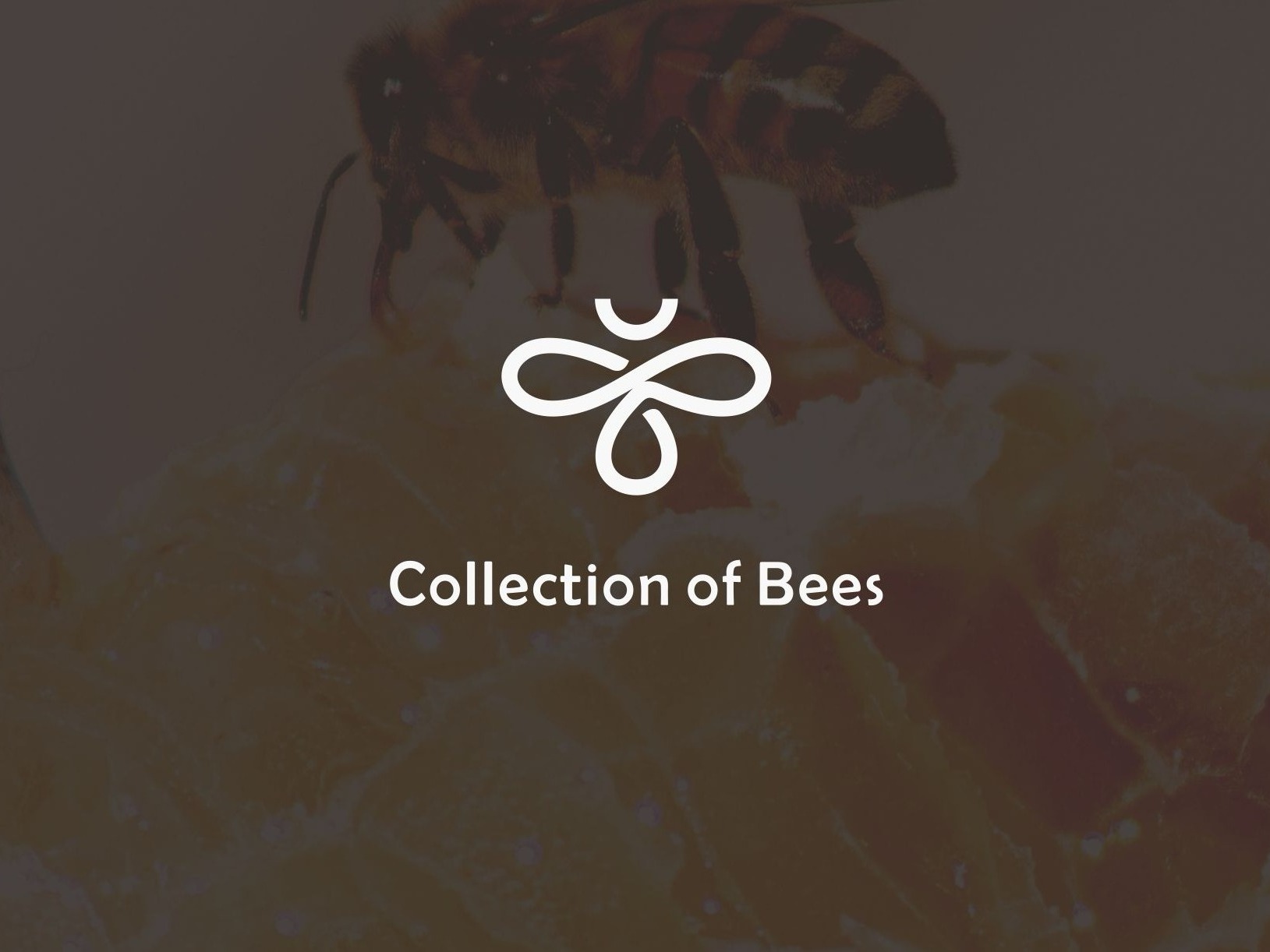 Collection of bees （蜂品汇）品牌视觉设计_Yummy_18-站酷ZCOOL