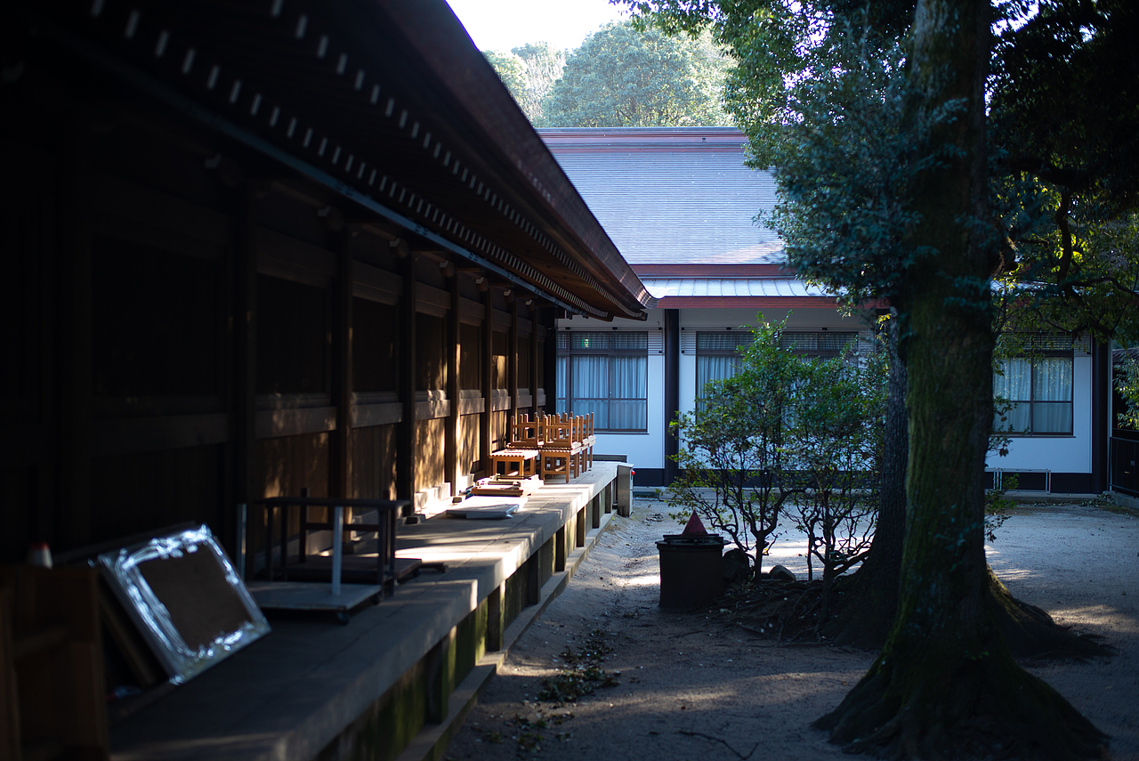 明治神宫_唠叨的Dante-站酷ZCOOL