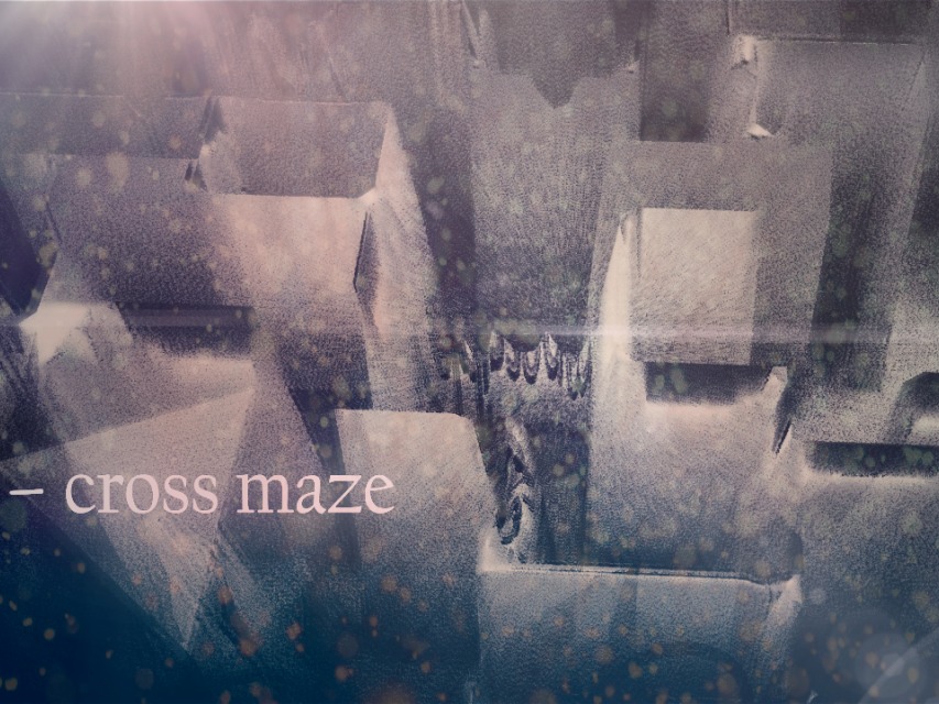 cross maze_ASluka路卡-站酷ZCOOL