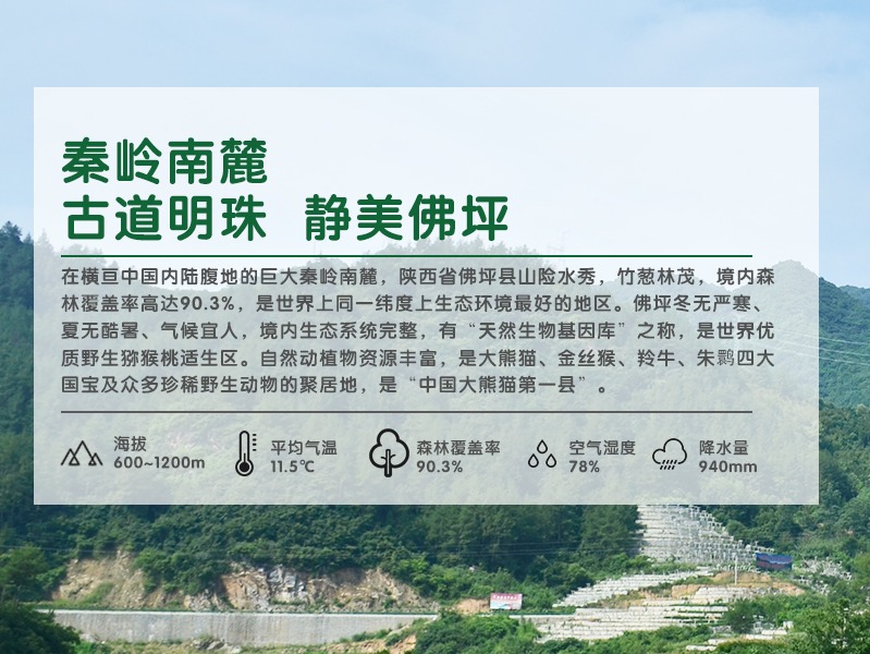 网站轮播图海报_abc1038-站酷ZCOOL