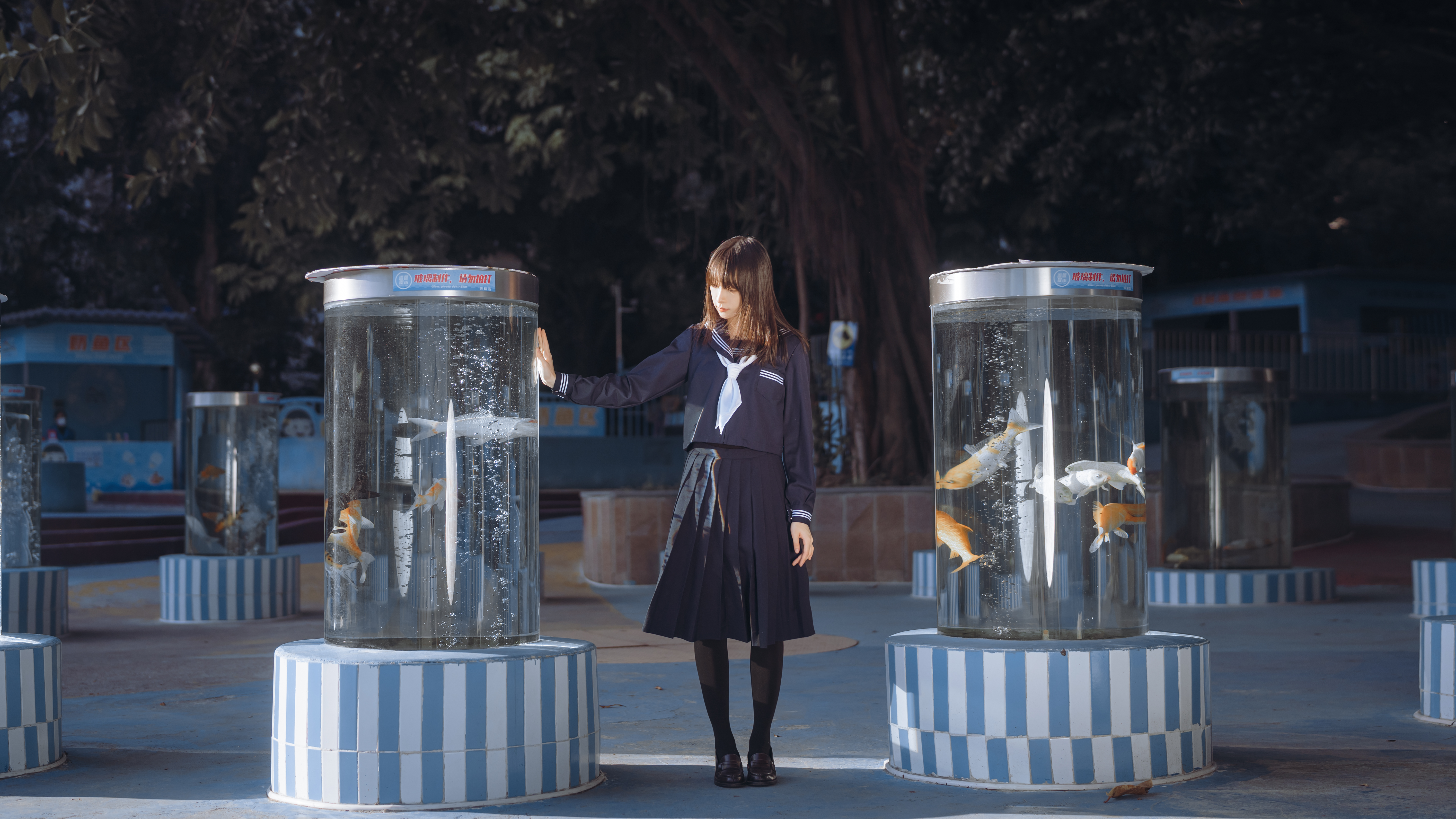 鱼缸和鱼(Zhizhi就是鲤鱼王)_Mox999-站酷ZCOOL