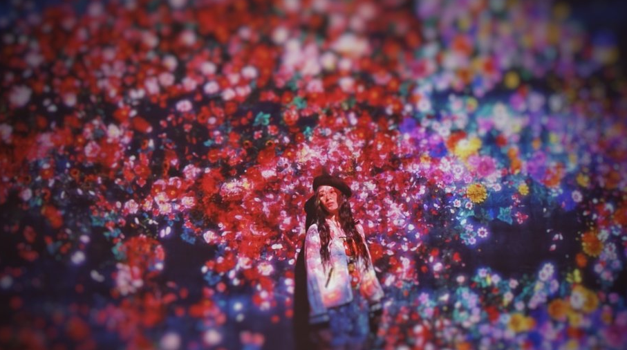 武汉TMTT全息互动花海光影展_TMTT全息光影-站酷ZCOOL