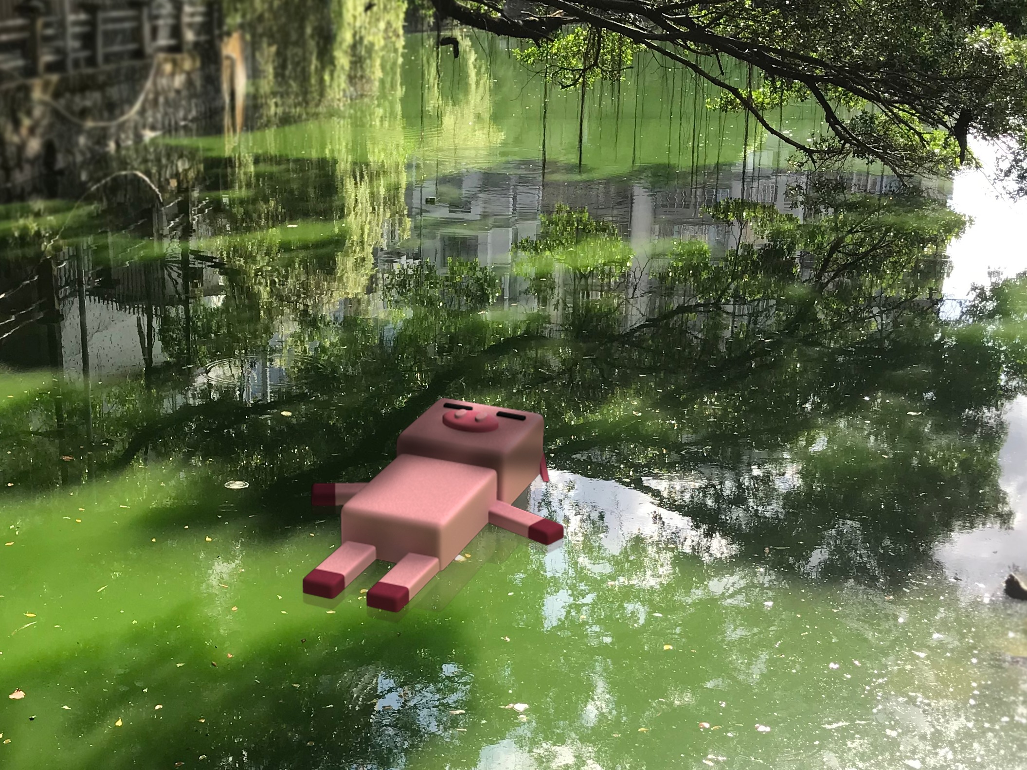 POTV新闻播报_Pigo官方发布会-站酷ZCOOL