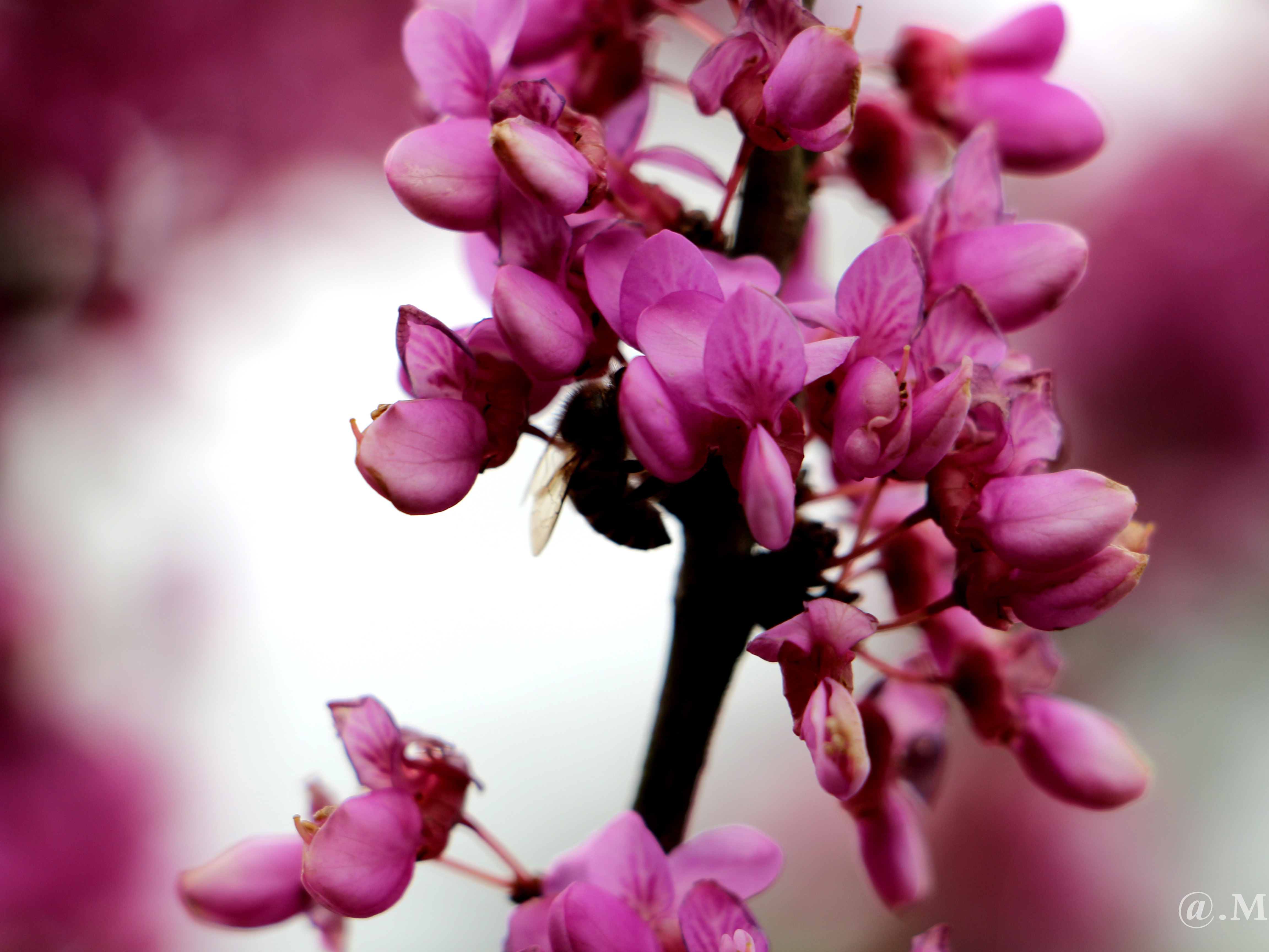 小小世界_一颗大大大_Cs-站酷ZCOOL