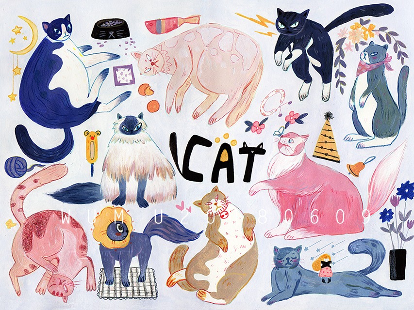 CATS_五木五木-站酷ZCOOL