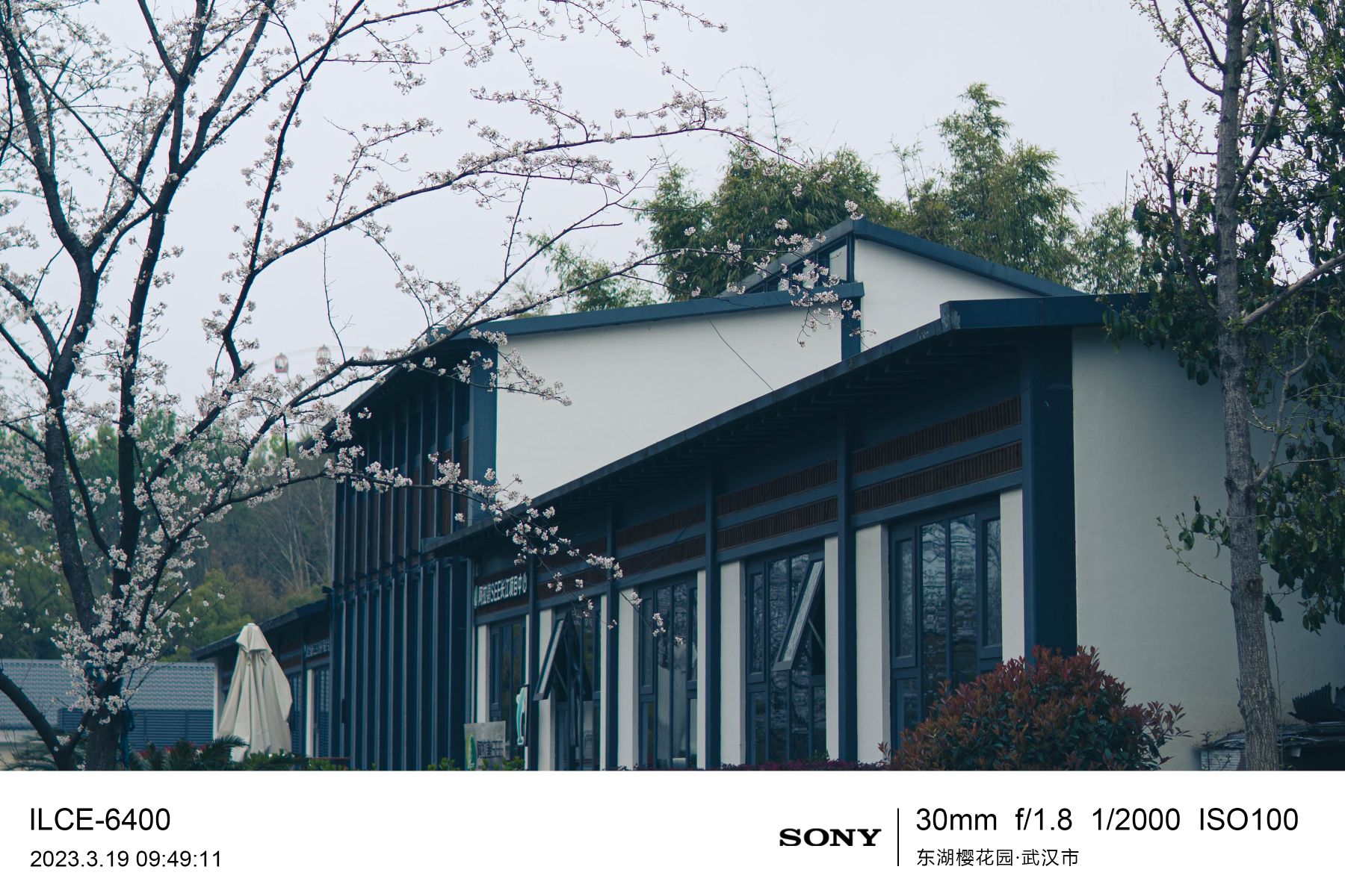 索尼A6400丨东湖樱花园_赛因sin丶-站酷ZCOOL