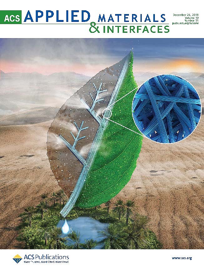 ACS AMI 华中科大 科研论文配图设计 SCI学术期刊封面 _邦图文化-站酷ZCOOL