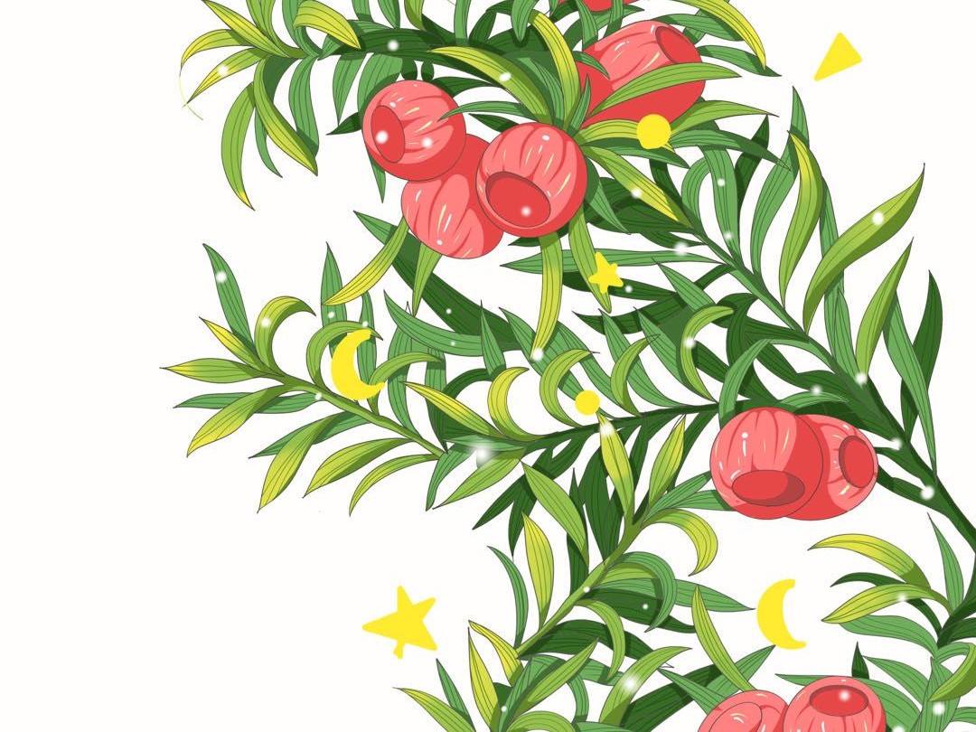 花卉插画_Z682656039-站酷ZCOOL