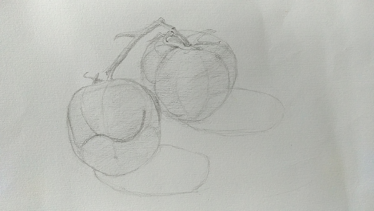 素描日练 / 纠结的番茄_littlebee15-站酷ZCOOL