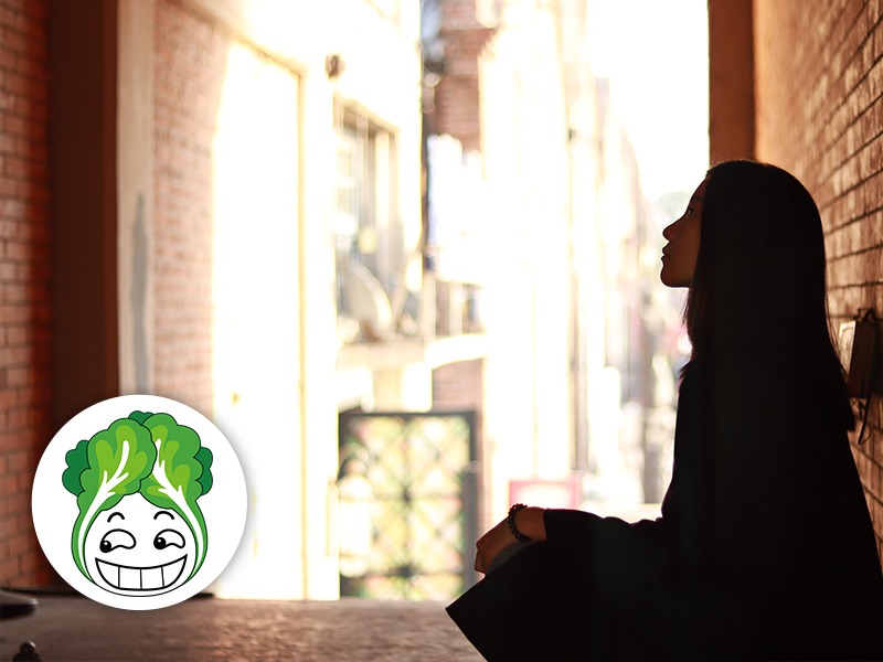 【摄影】红砖 · 后续三组_俺是一颗大白菜-站酷ZCOOL