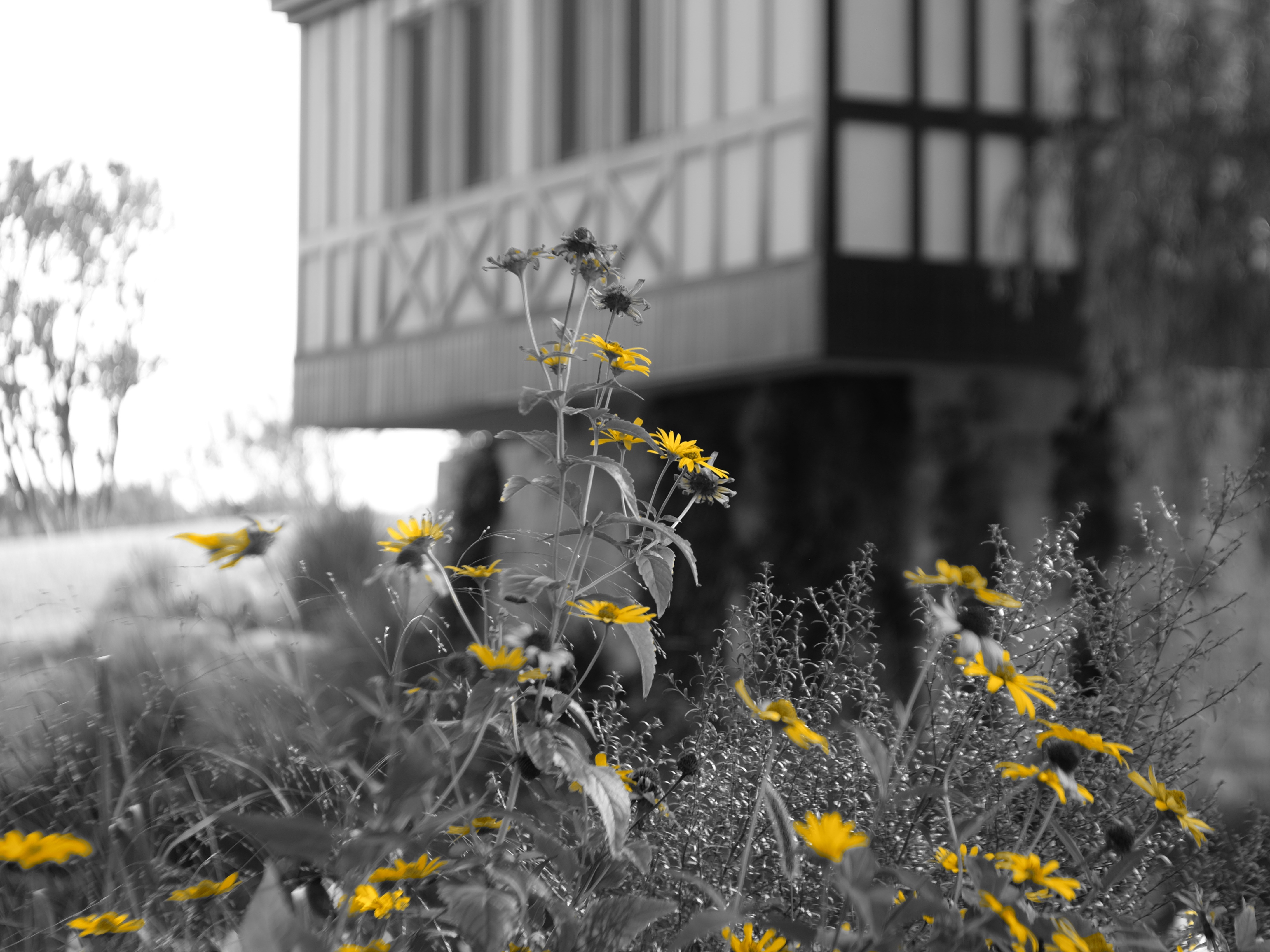 小白的混乱之出游_Gtfm880-站酷ZCOOL