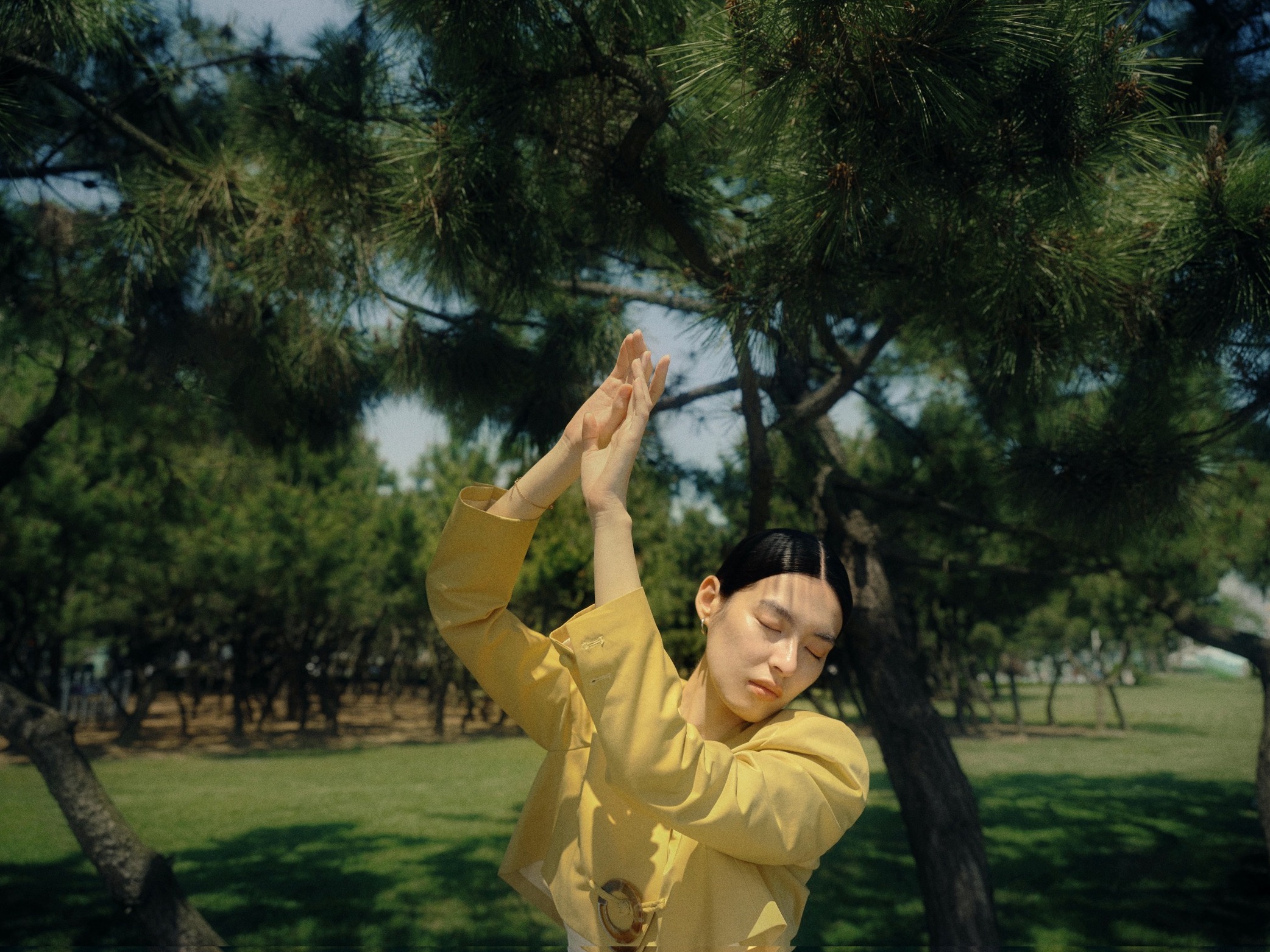 草木之中 山河之间_YANGKUNG-站酷ZCOOL